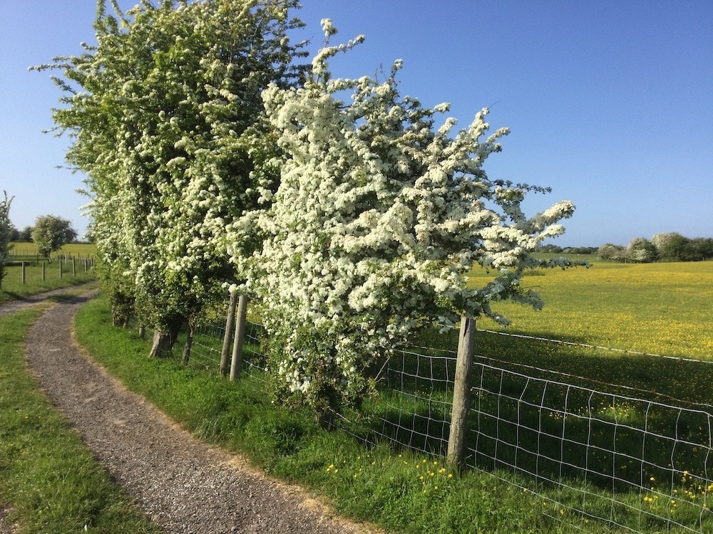 Uplees Farm Self Catering Cottages