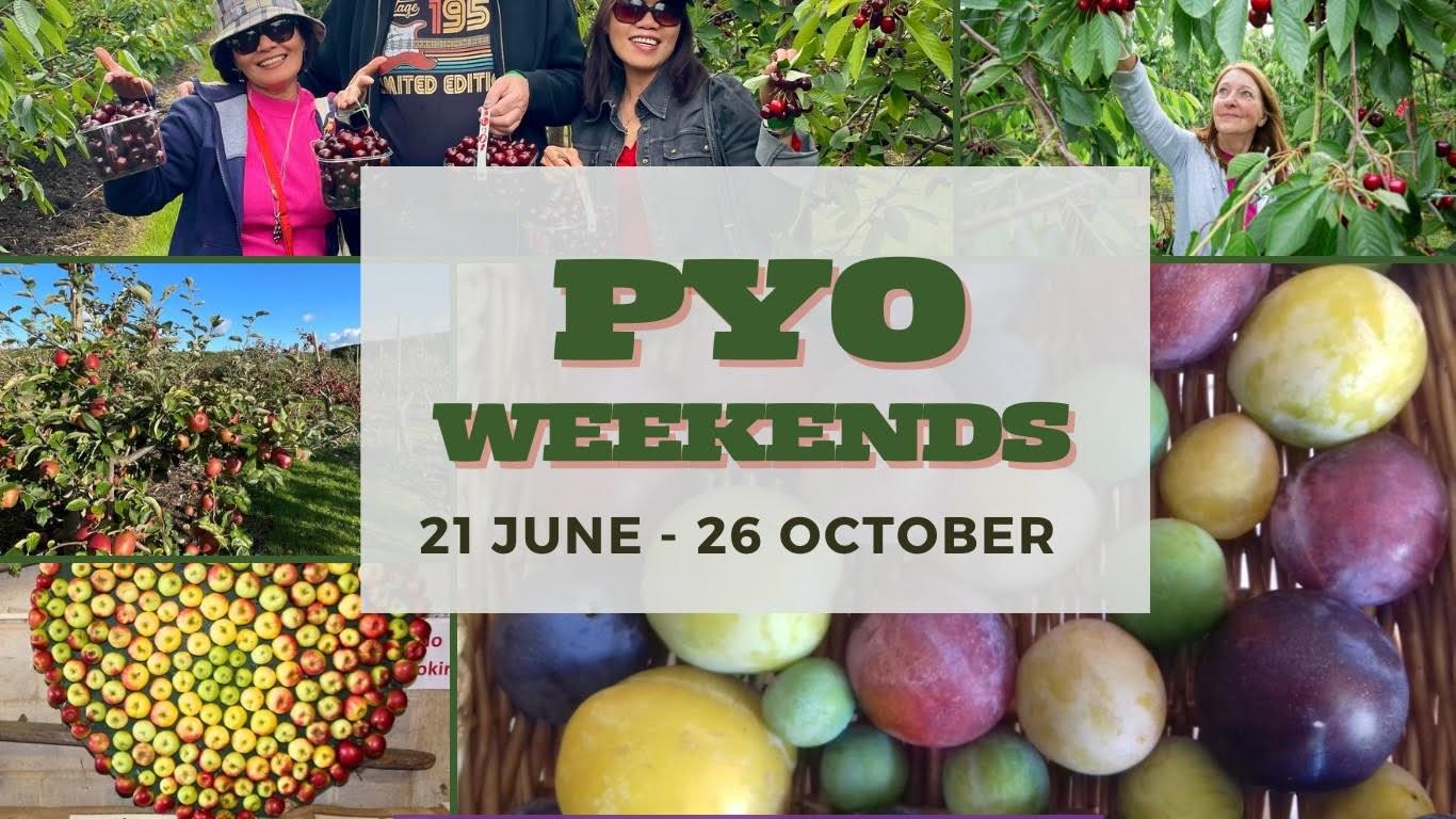 PYO Fruit Weekends at Brogdale