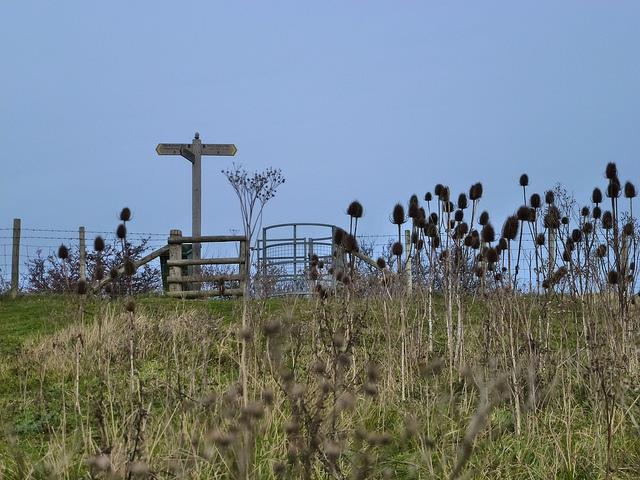 Creteway Down, Folkestone