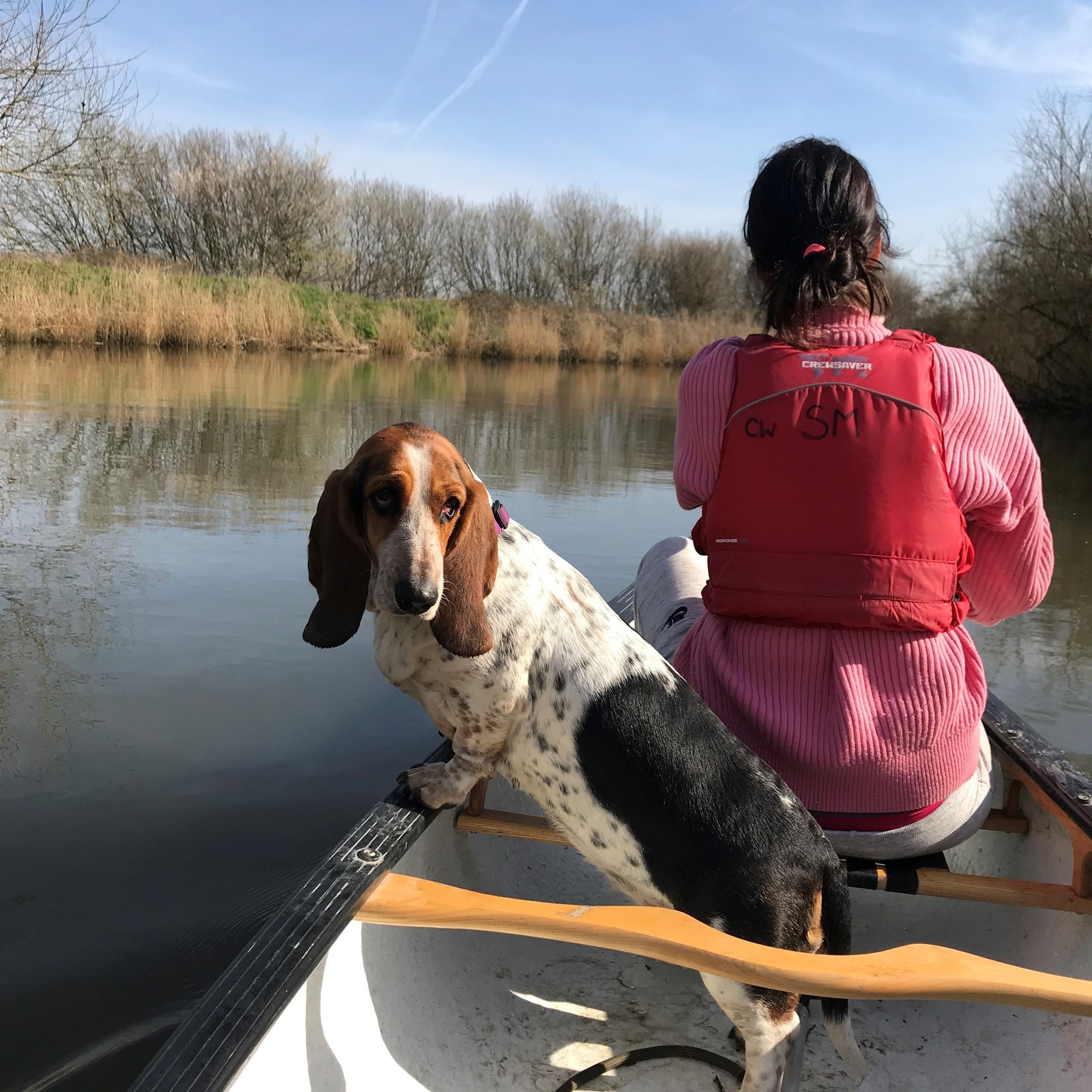 Dog friendly Attractions In Kent Dog friendly Attractions In Kent