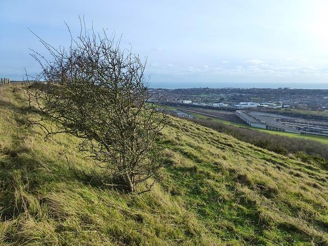 Folkestone Downs