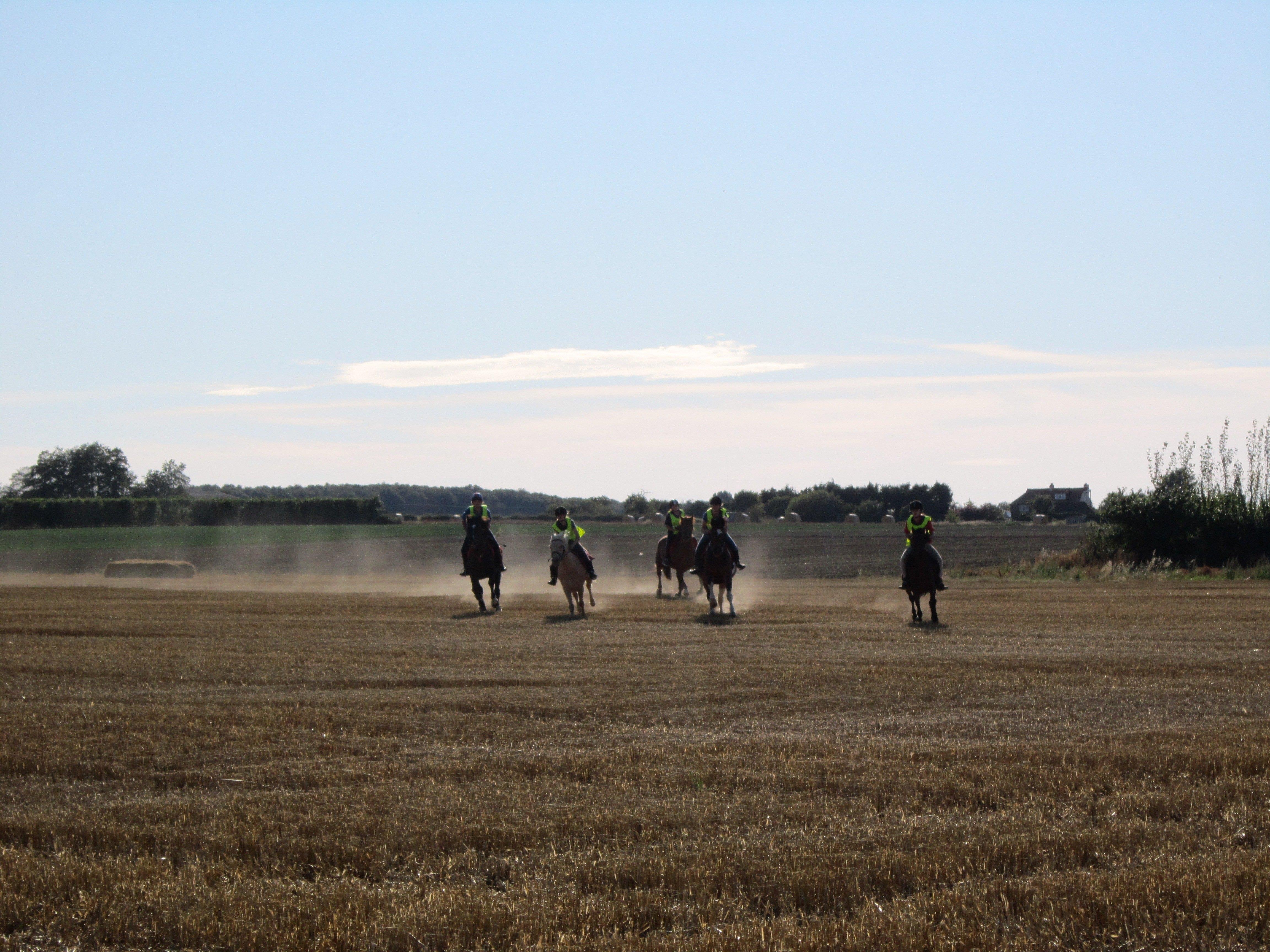 Park Farm Riding School