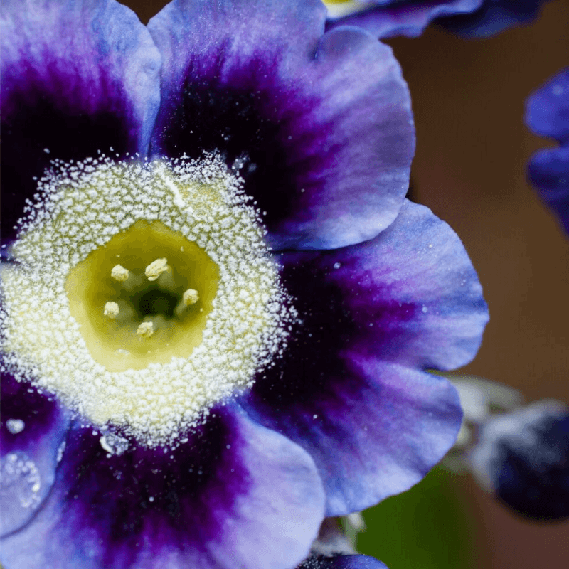 Top places to photograph in Kent