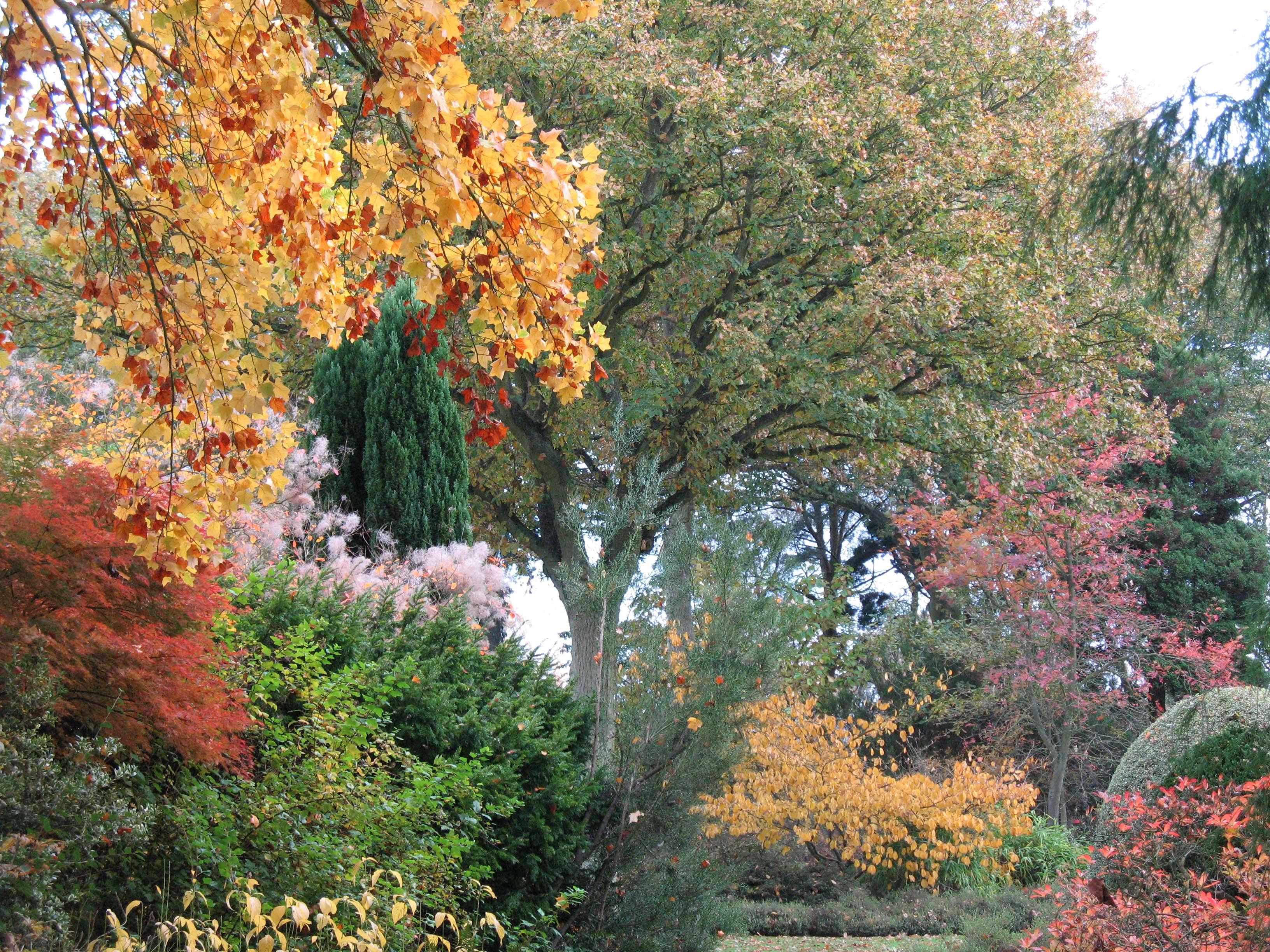 Forests and woodlands of Kent