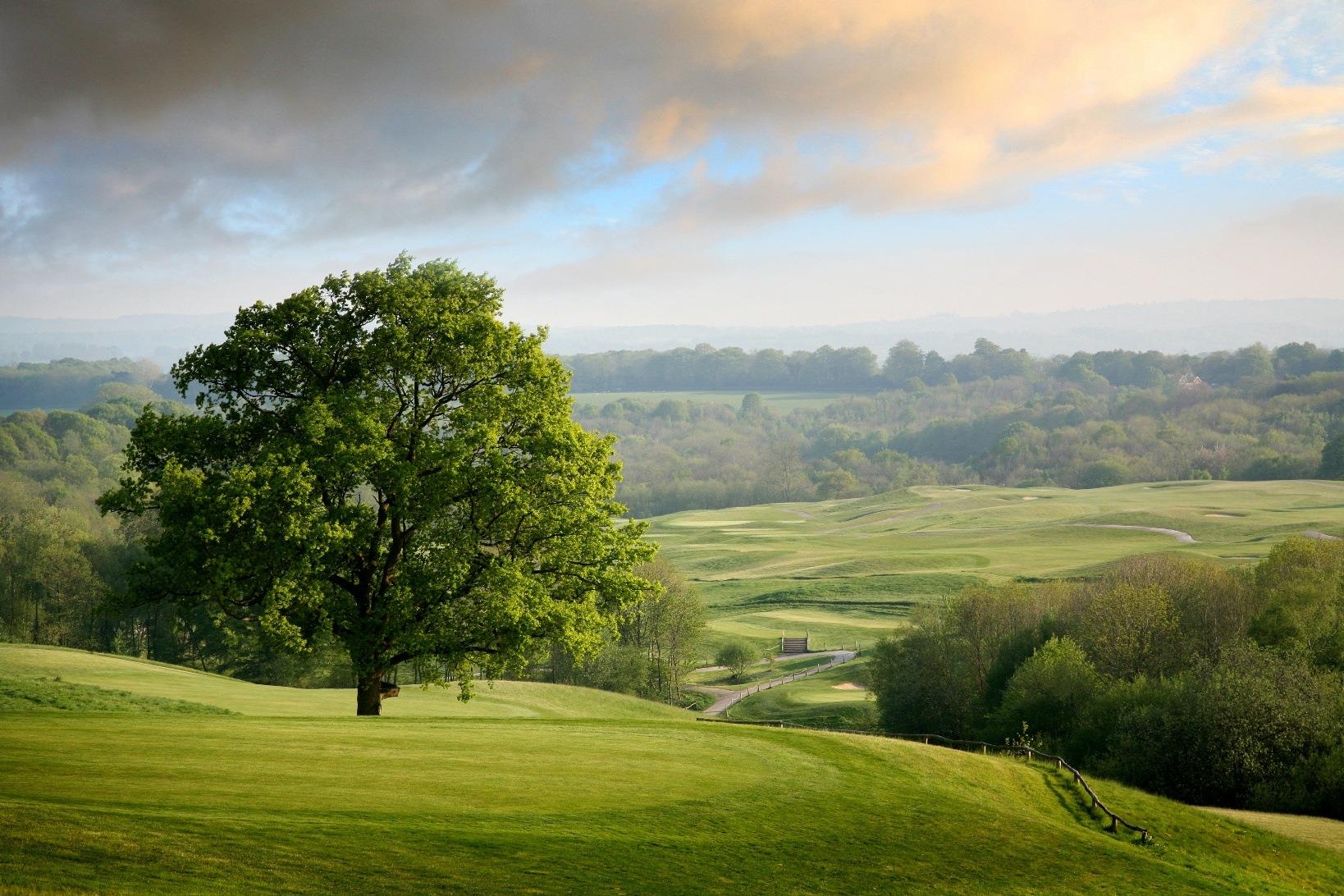 Dale Hill Hotel and Golf Club