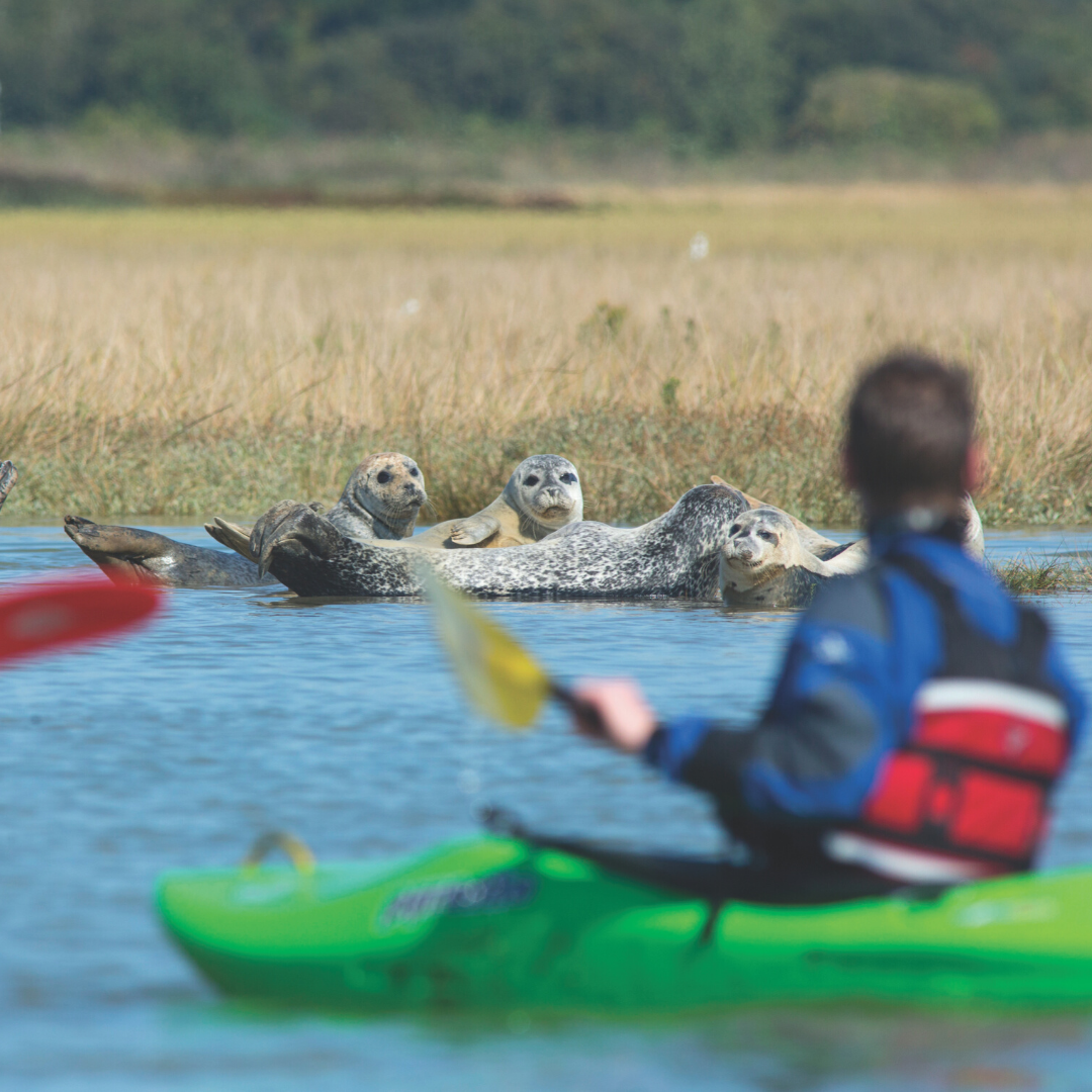 Active Ramsgate – Get Active, Be Inspired