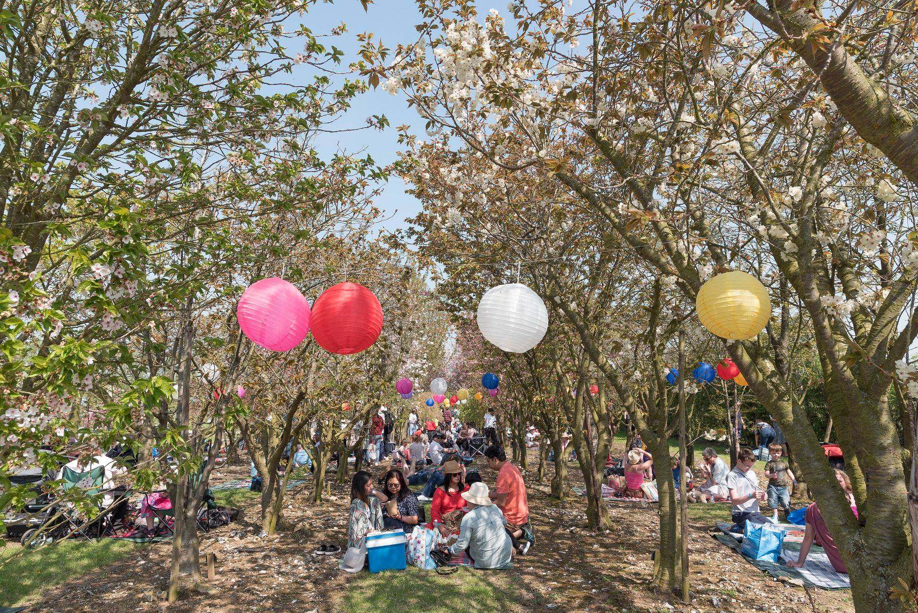 Visit Brogdale Collections in Faversham | Things to Do in Swale