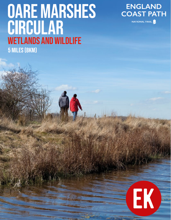 Oare Marshes Walk: Wetlands and Wildlife