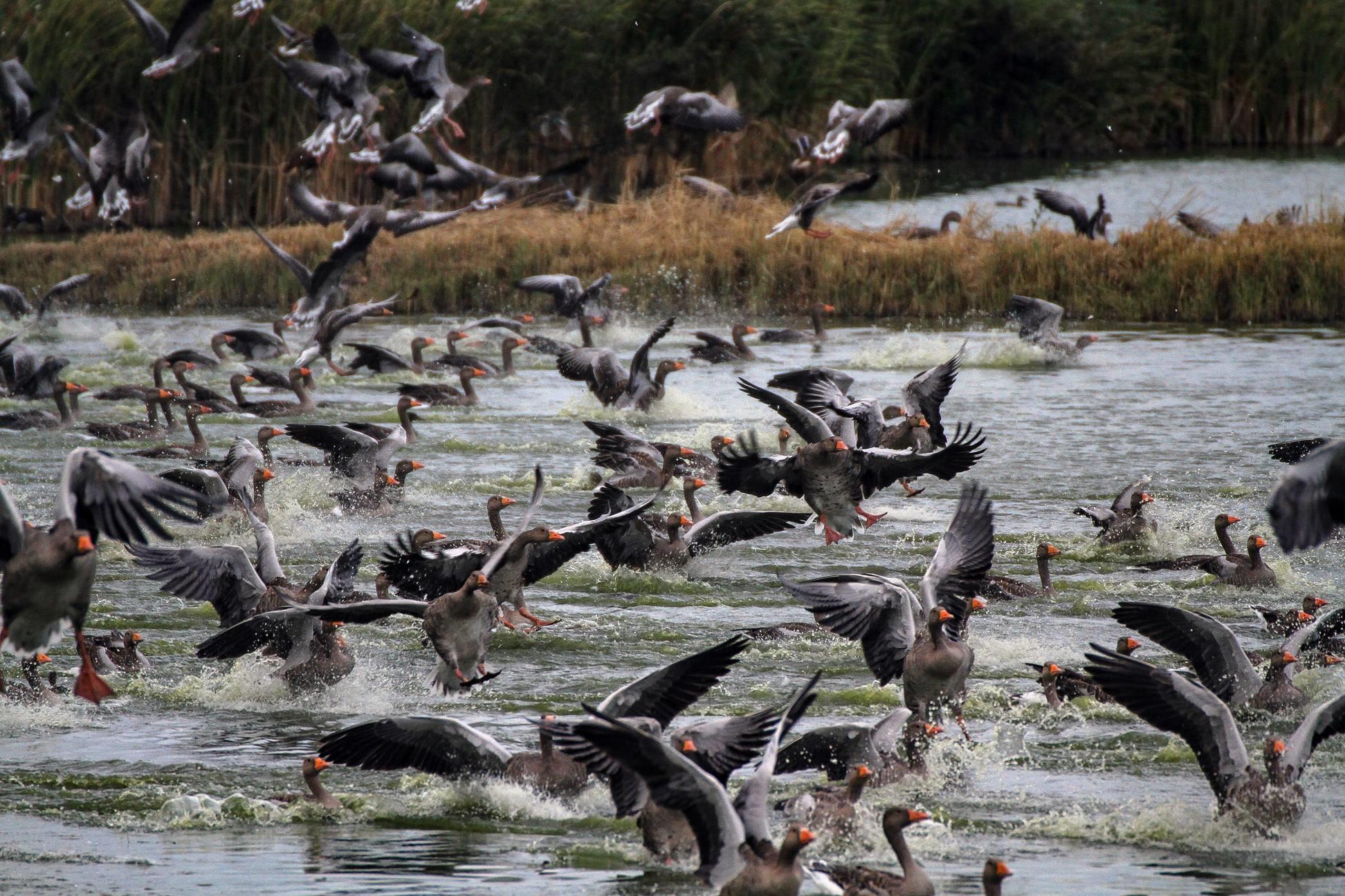 Stodmarsh National Nature Reserve