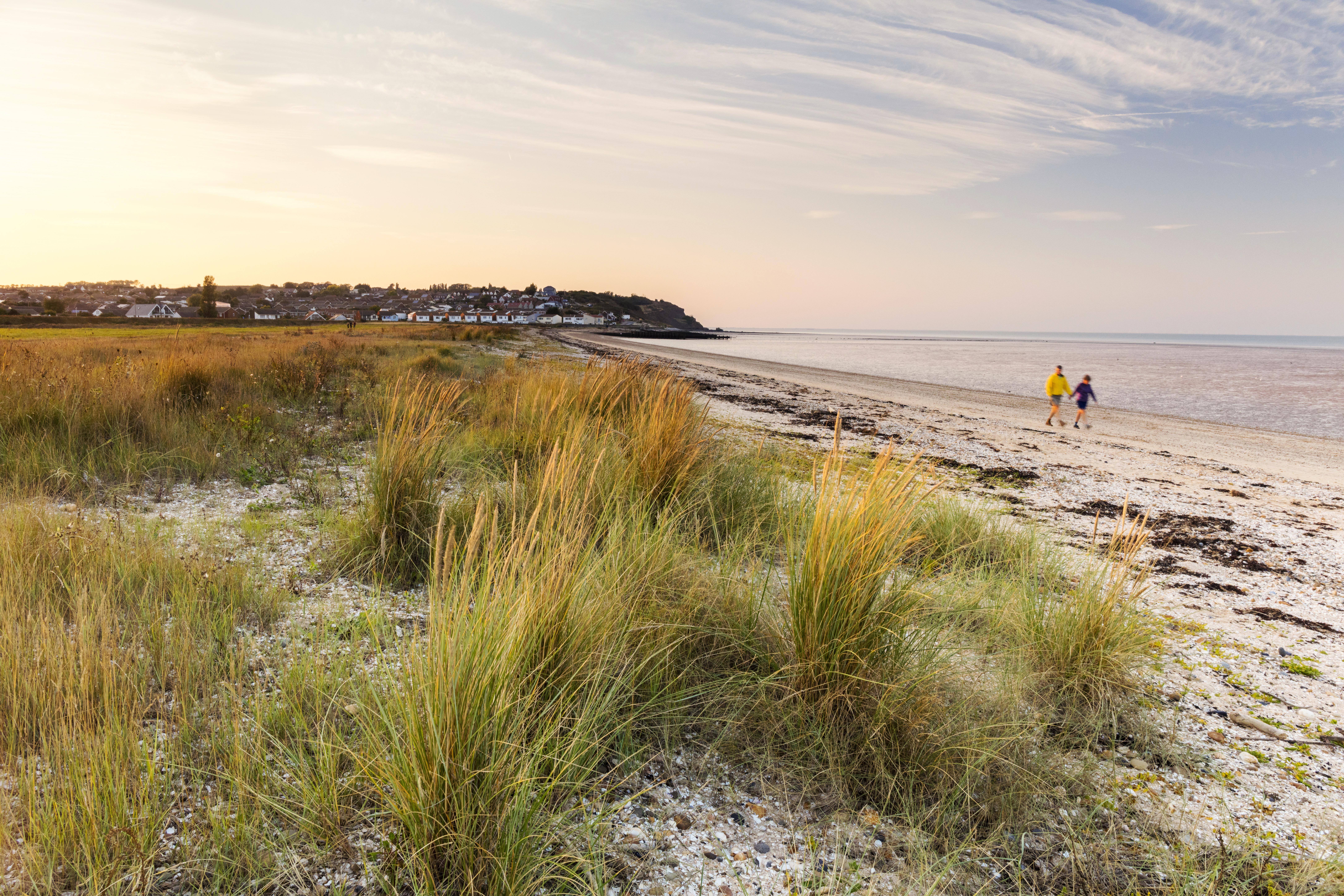 The symbols of Sheppey